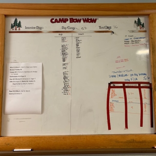 Photo Gallery | Camp Bow Wow