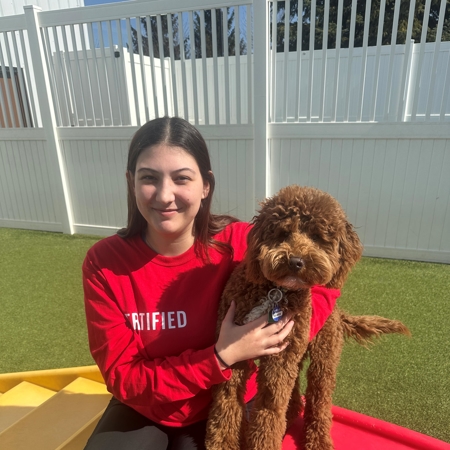 Meet the Team | Camp Bow Wow Grand Rapids Airport