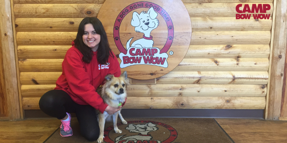 April 2019 | Camp Bow Wow Springfield East