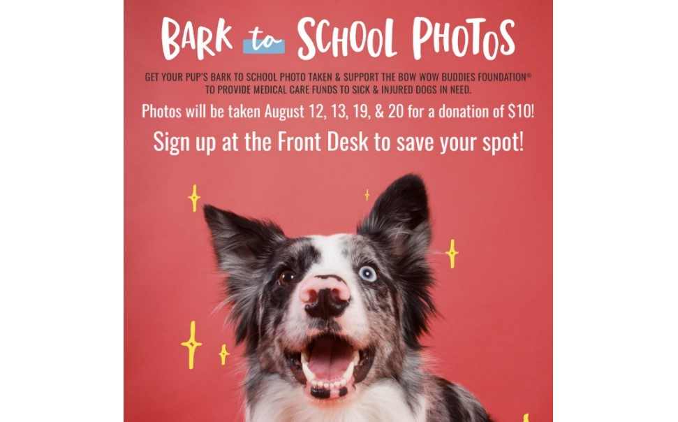 Bark To School Photos